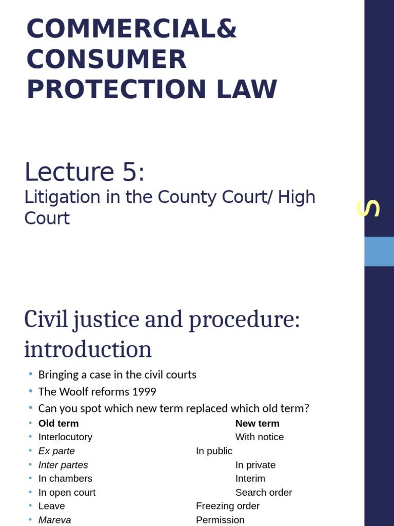 22-02-17 Lecture 5 slides | PDF | Lawsuit | Common Law