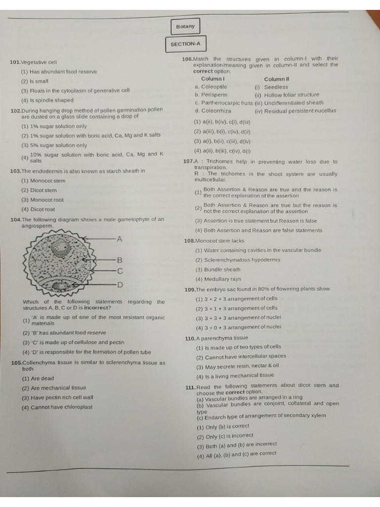 Tt-3 Anatomy & Sexual Reproduction | PDF