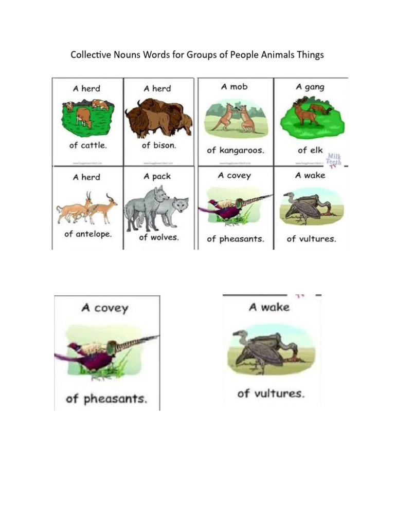 Collective Nouns Words For Groups of People Animals Things | PDF