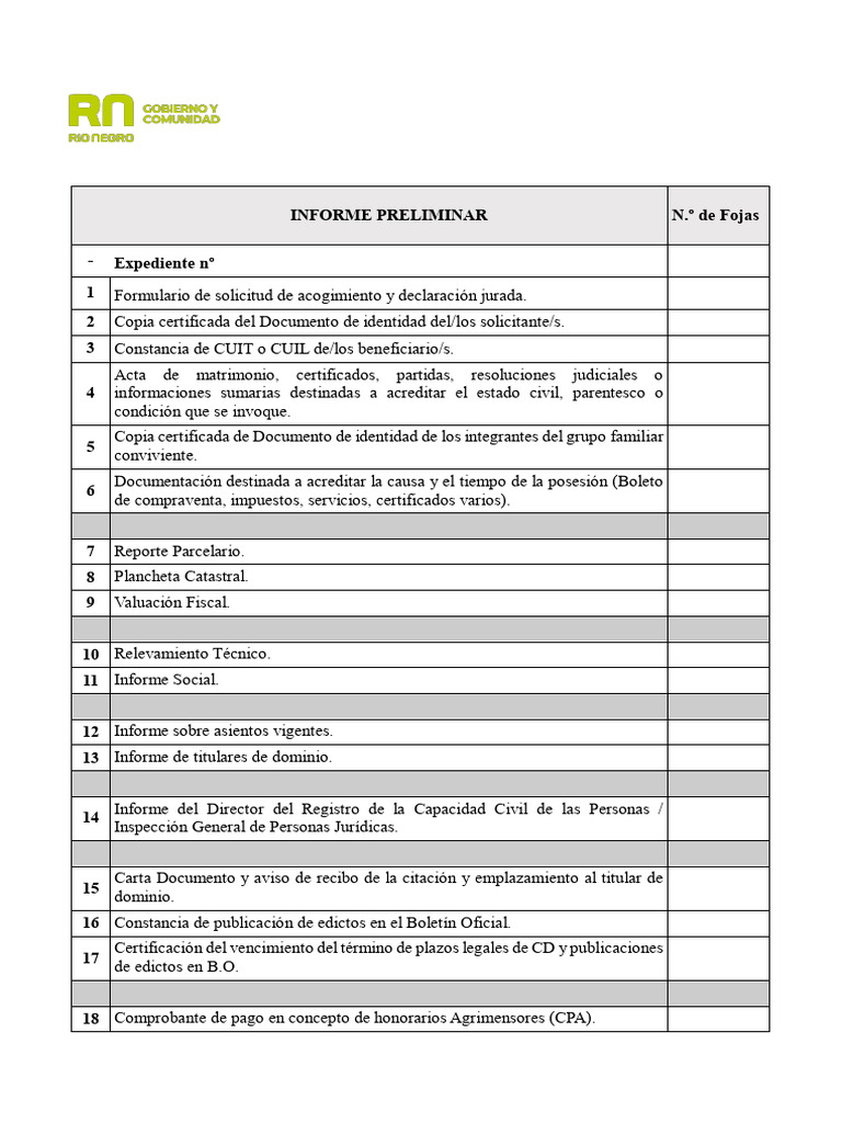 Informe Preliminar | PDF