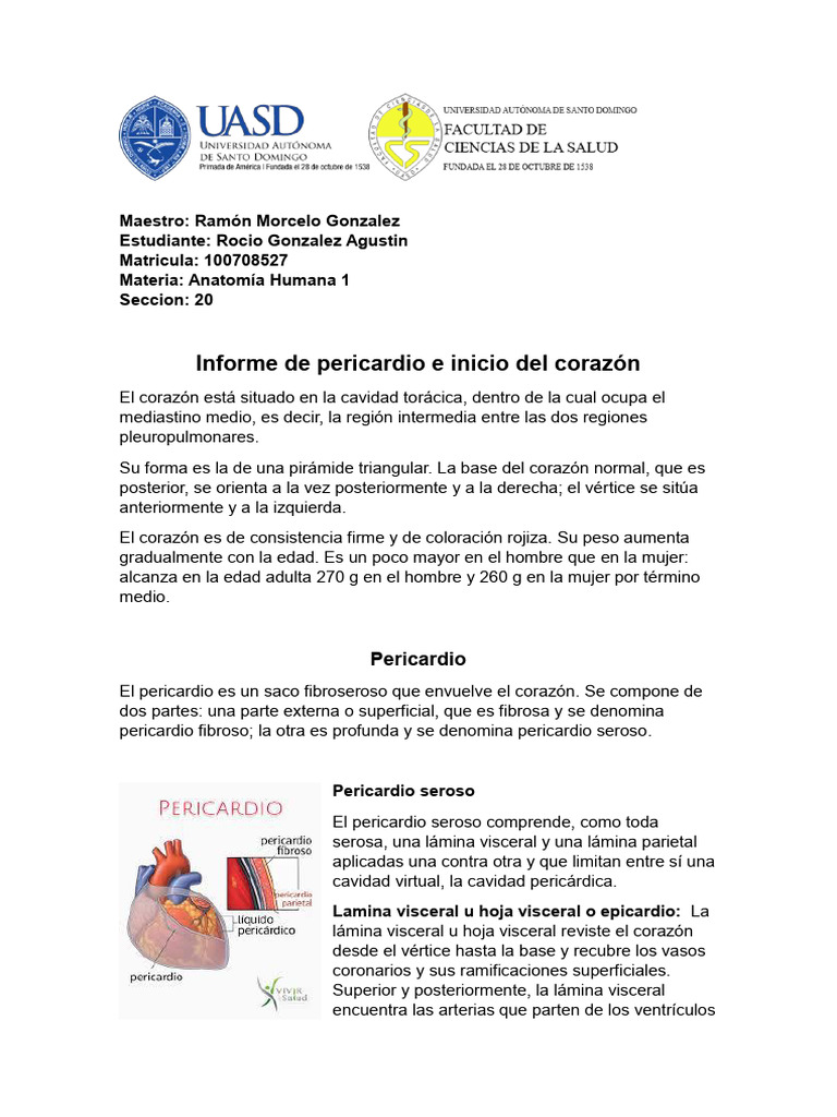 Estructura y Función del Pericardio y Corazón | PDF | Corazón | Tórax ...