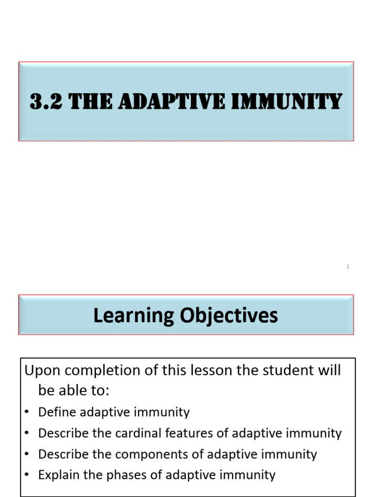 Adaptive Immunity18 | PDF | Immune System | Adaptive Immune System