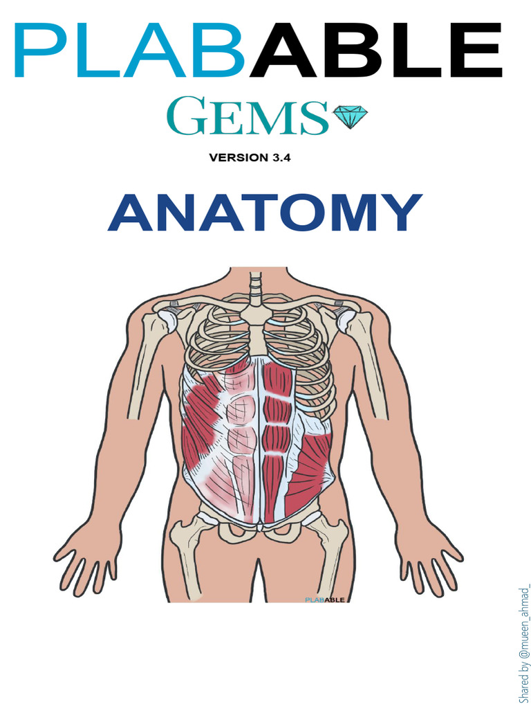 Anatomy Clinchers | PDF | Elbow | Anatomical Terms Of Motion