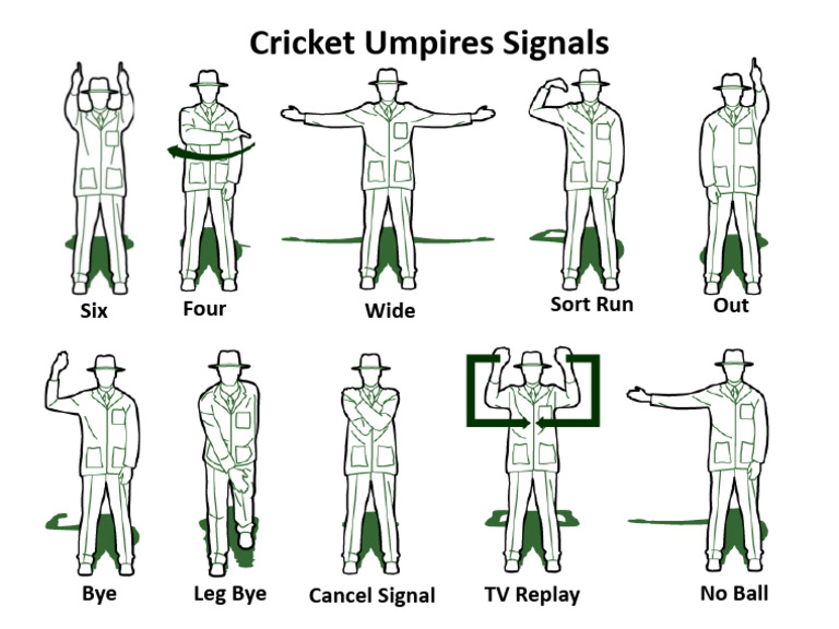 Cricket Umpires Signals | PDF