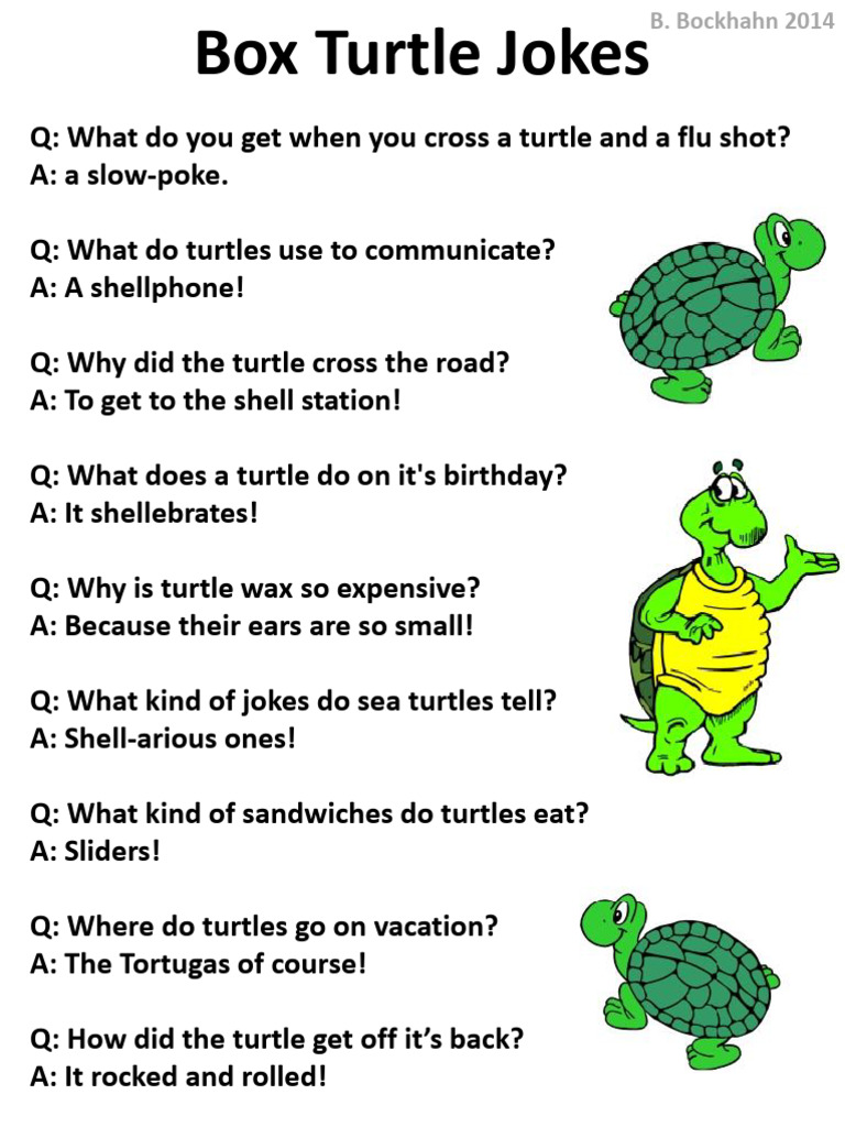 Box Turtle Jokes and Poems | PDF