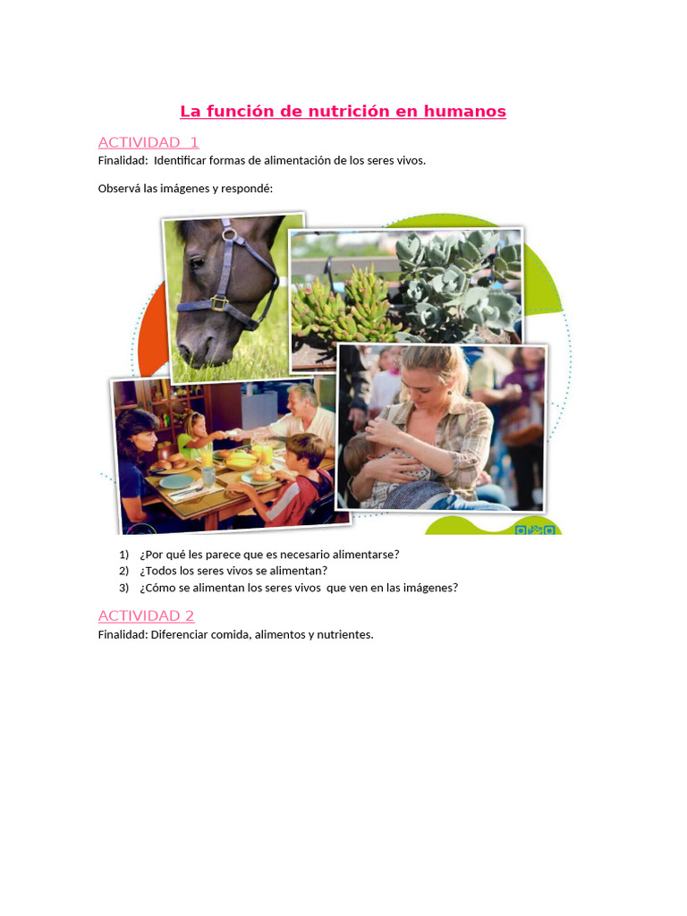 La Función de Nutrición en Humanos | PDF | Corazón | Digestión