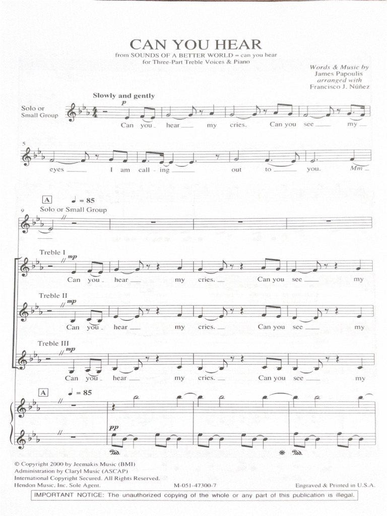SSA - Can You Hear | PDF