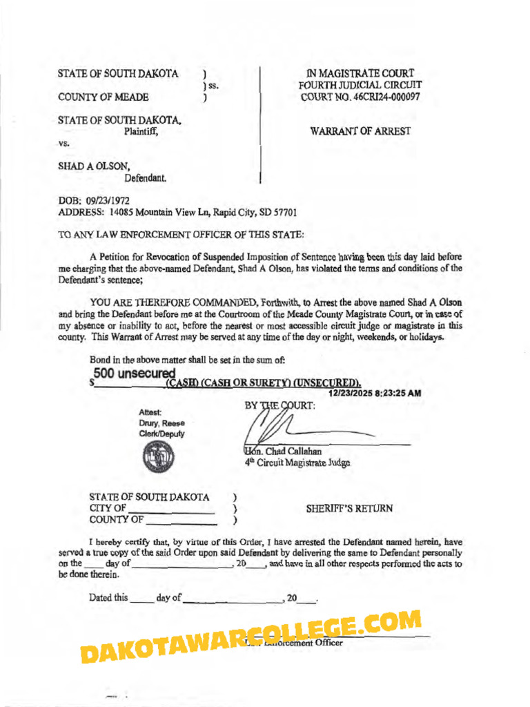 Petition to Revoke Sentence: State v. Olson | PDF | Public Law ...