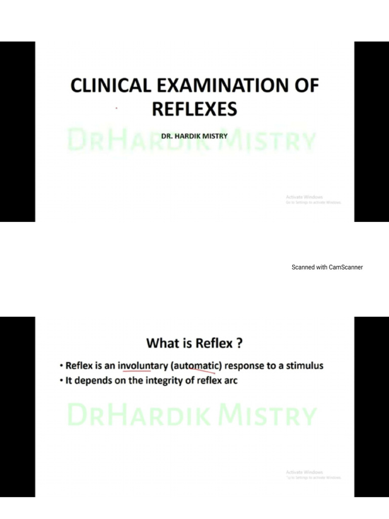 Reflexes | PDF