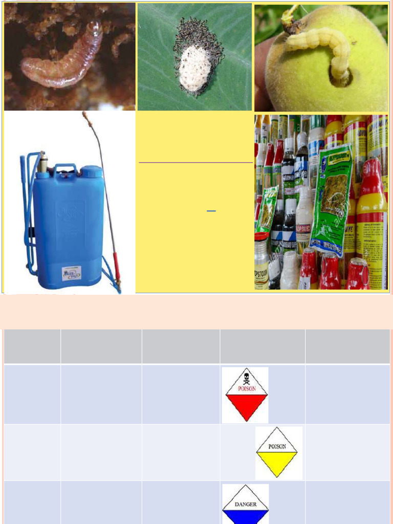 Insecticide Toxicity and Formulations Guide | PDF | Solubility ...