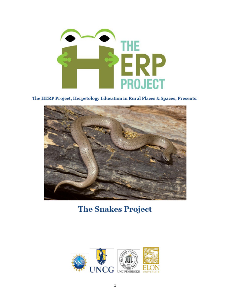 Snakes Education Curriculum Guide | PDF | Snake | Lizard