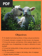 Practical Guide to Intensive Sheep Farming | PDF | Sheep | Fetus