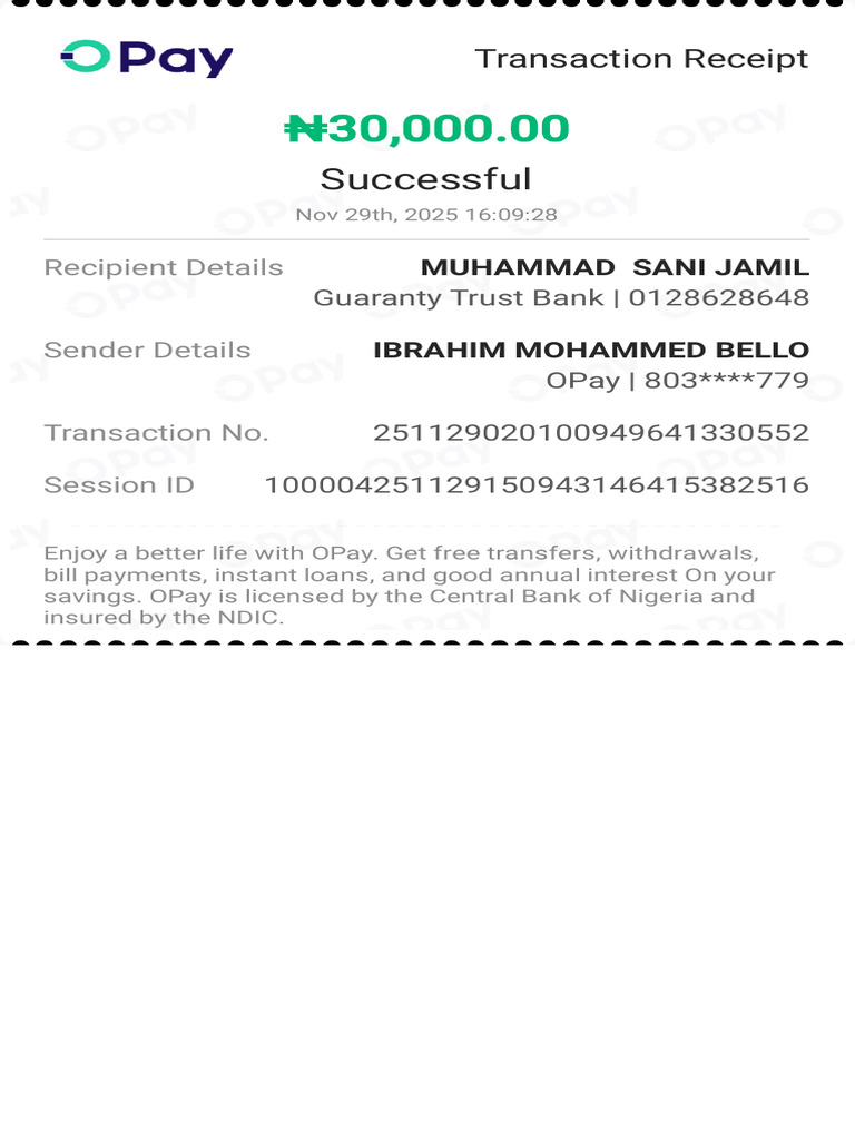 Successful OPay Transaction Receipt | PDF