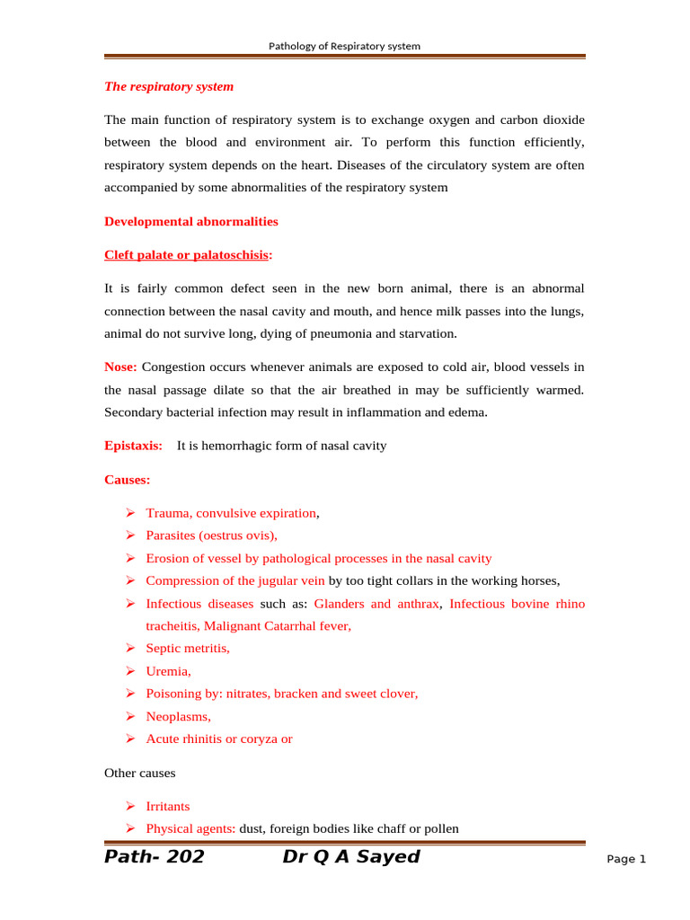 Respiratory System Pathology Overview | PDF | Lung | Respiratory Tract