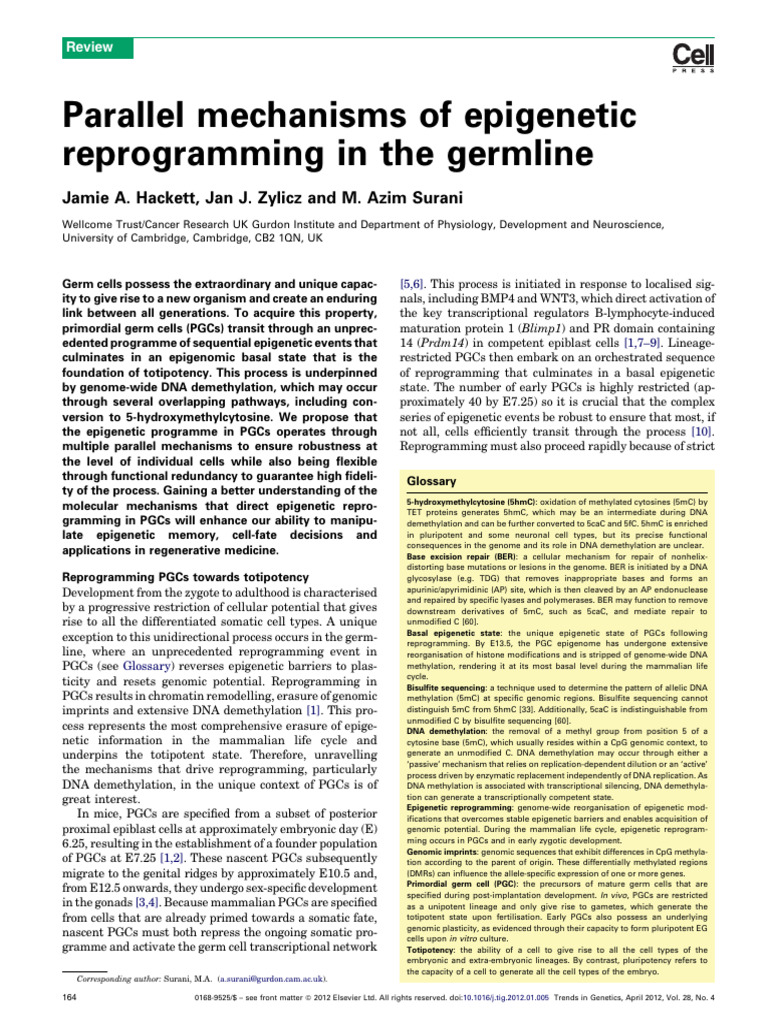 Parallel Mechanisms of Epigenetic Reprogramming in the Germline | PDF ...