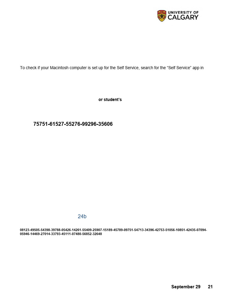 MATLAB Individual License Activation Guide | PDF