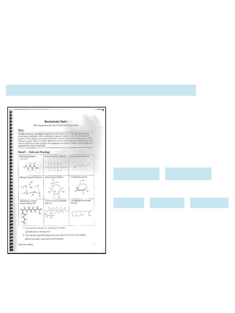 POGIL Activities for AP Biology Teacher Edition Laura Trout (Editor ...