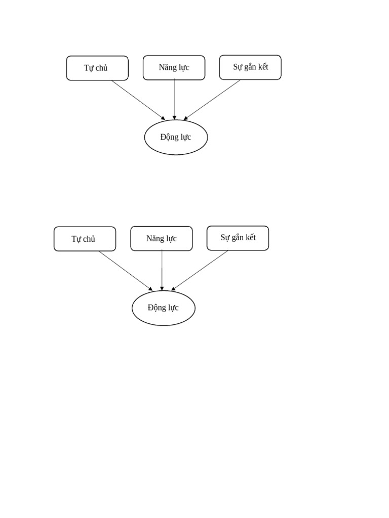 SDT Model | PDF