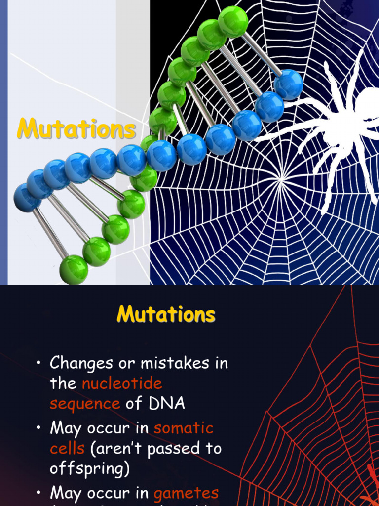Gene_mutation_stdnt_copy | PDF | Point Mutation | Mutation
