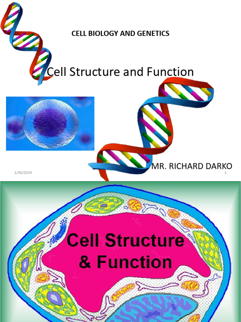 Cell Biology: Structure, Function, and Theory | PDF | Mitosis | Dna ...