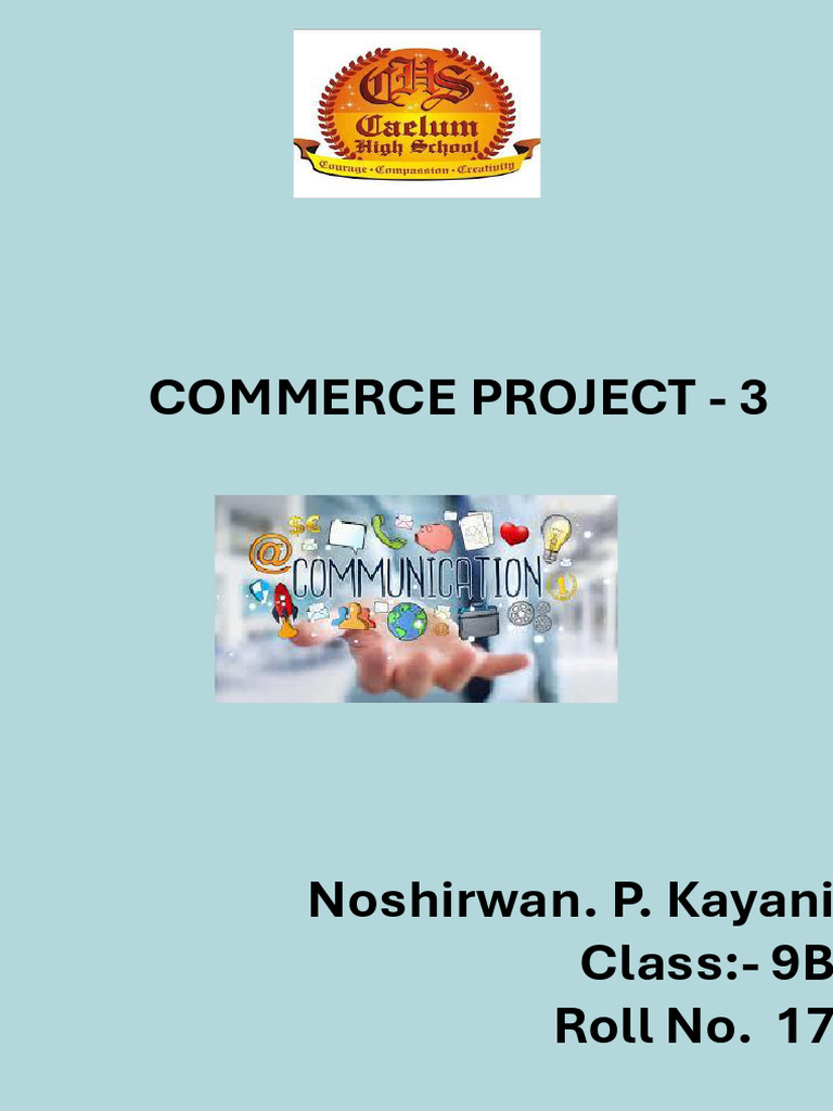 Commerce Project 3 | PDF