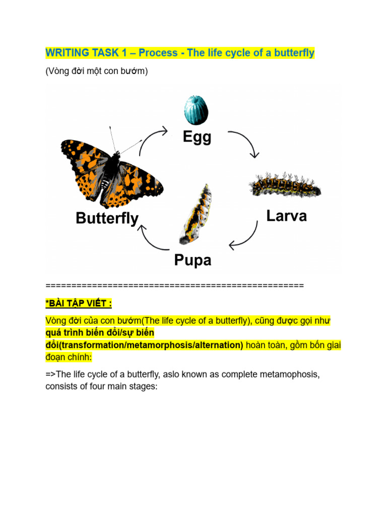 (Bài Mẫu Band 8) WRITING TASK 1-PROCESS-A Life Cycle of Butterfy-live ...