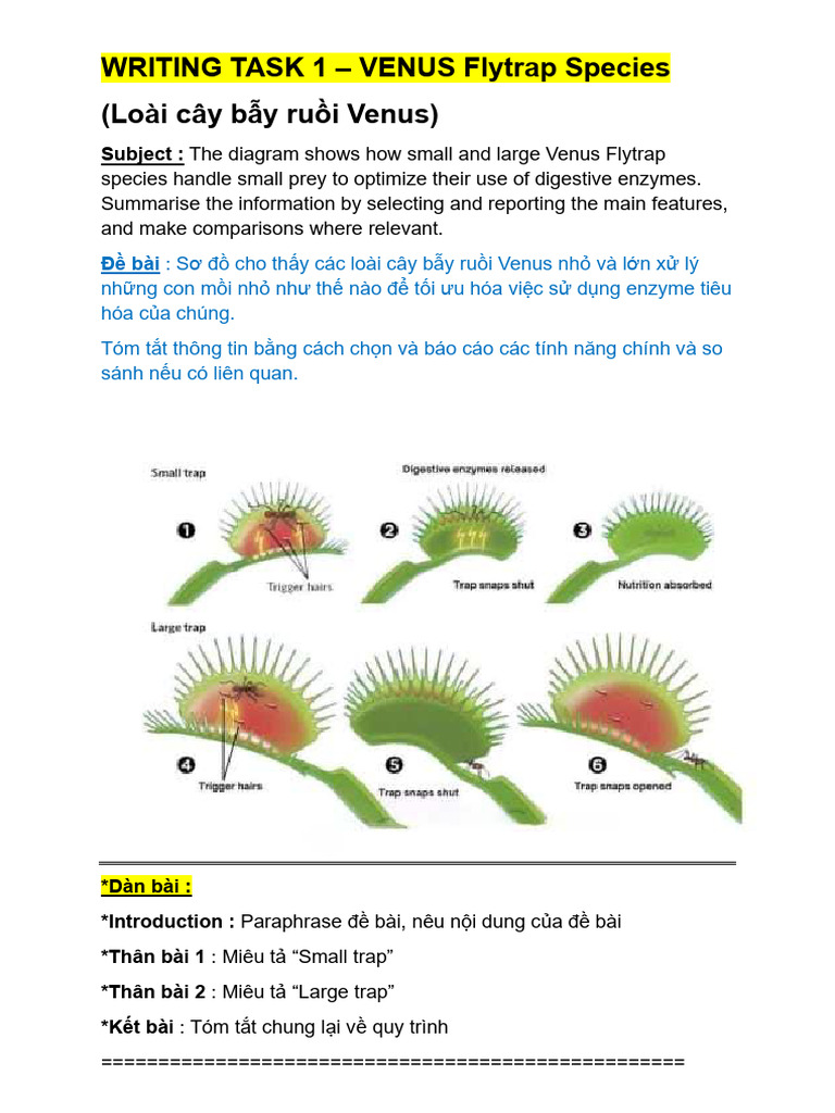 (Bài Mẫu Band 8) Writing Task 1-Process- Hoa Venus Flytrap-live ...