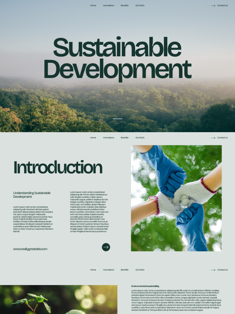 Sustainable Development Presentation | PDF