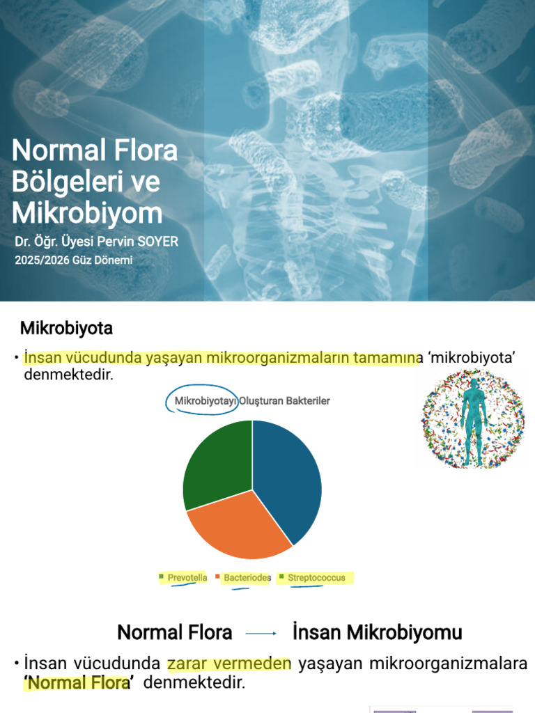 Normal Flora Bölgeleri Ve Mikrobiyom Ders Notu | PDF