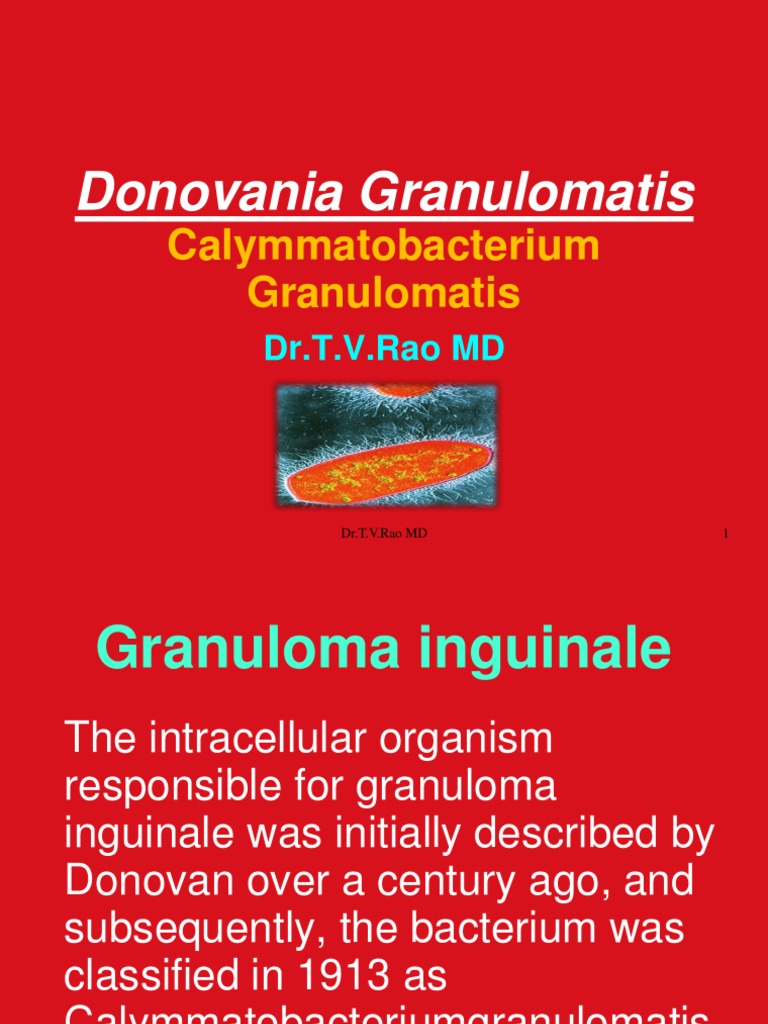 Granuloma Inguinale Overview | PDF | Medical Specialties | Diseases And ...
