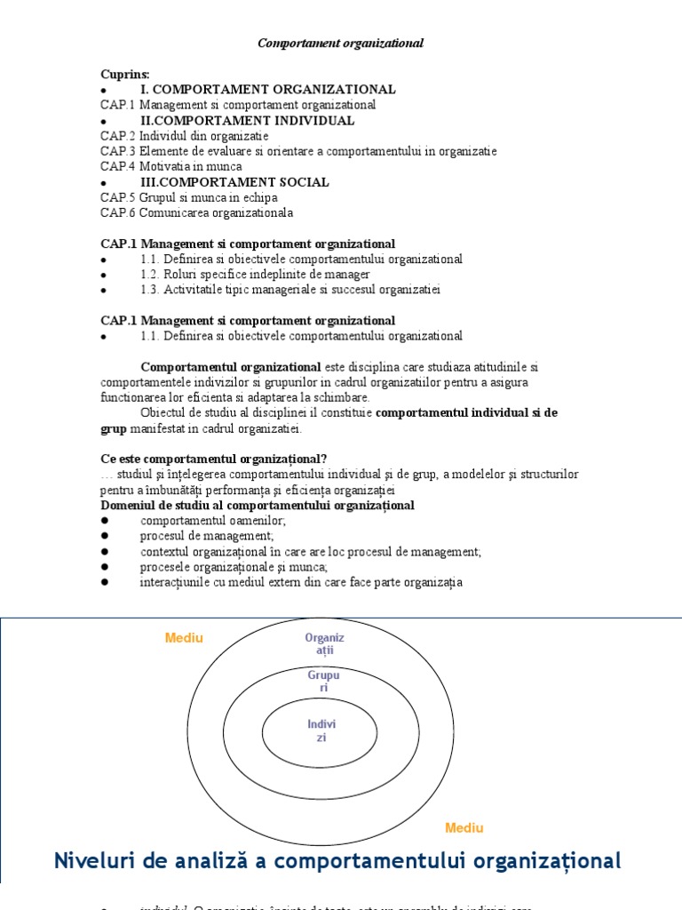 Comportament Organizational | PDF