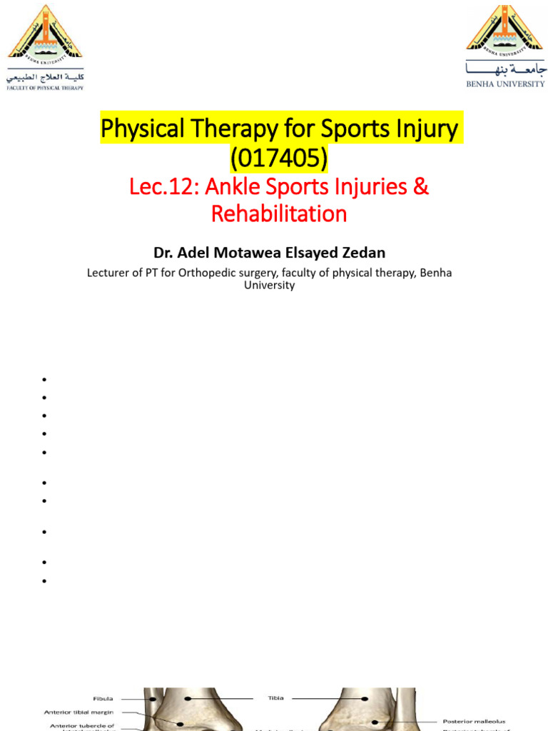 Ankle Sports Injuries: Assessment & Rehab | PDF | Ankle | Physical Therapy