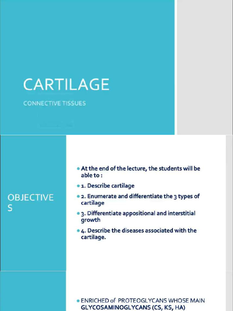 HH Cartilage | PDF