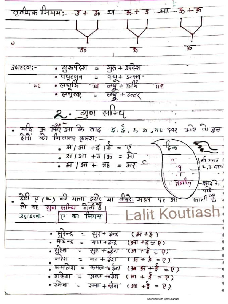 Hindi Notes | PDF