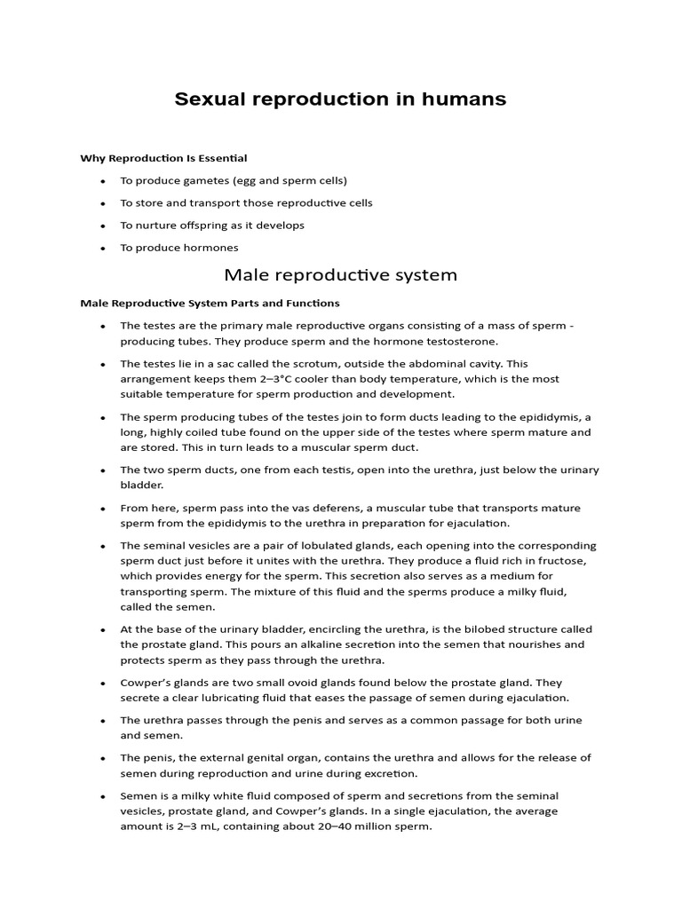 Human Reproductive System Overview | PDF | Reproductive System | Human ...