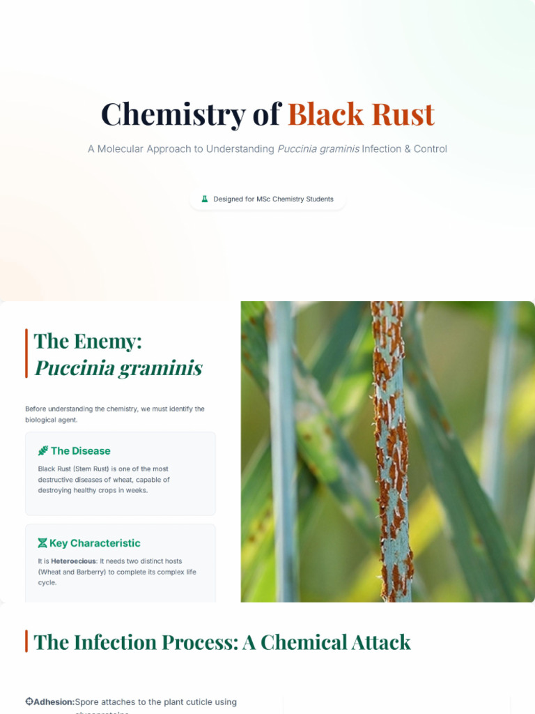 Chemistry of Black Rust | PDF