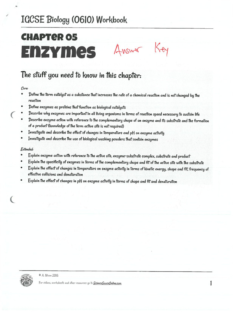 Enzymes MS | PDF
