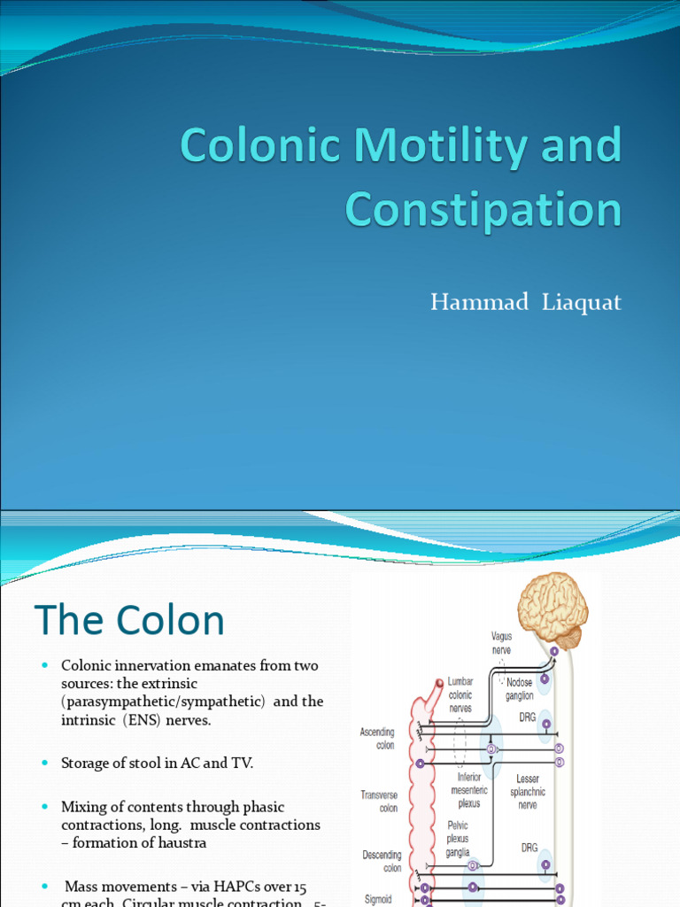 Understanding Colon Physiology and Constipation | PDF | Rectum ...