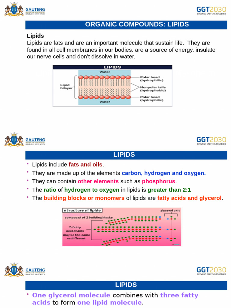 Understanding Lipids: Types and Functions | PDF | Fatty Acid | Fat