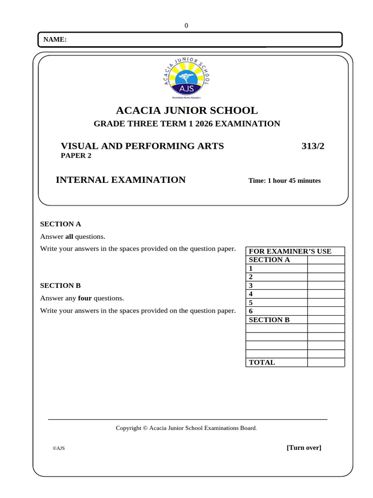 Grade 3 Visual Arts Exam 2026 | PDF