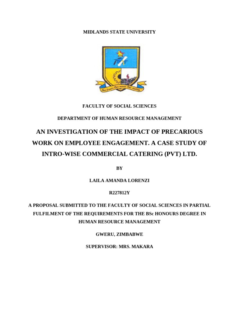 Impact of Precarious Work on Engagement | PDF | Employment | Motivation