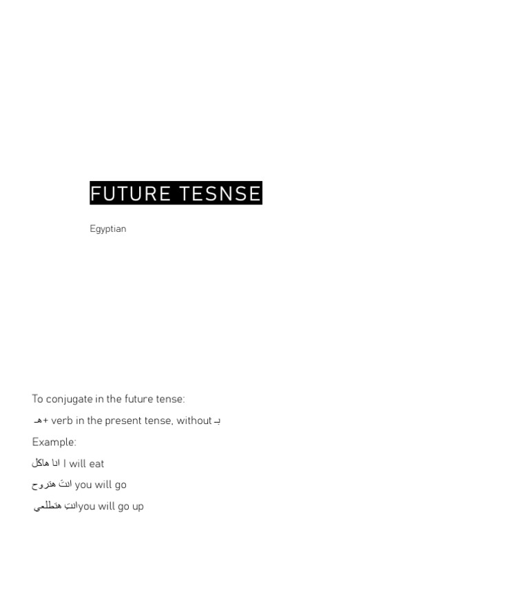 Conjugation Future | PDF