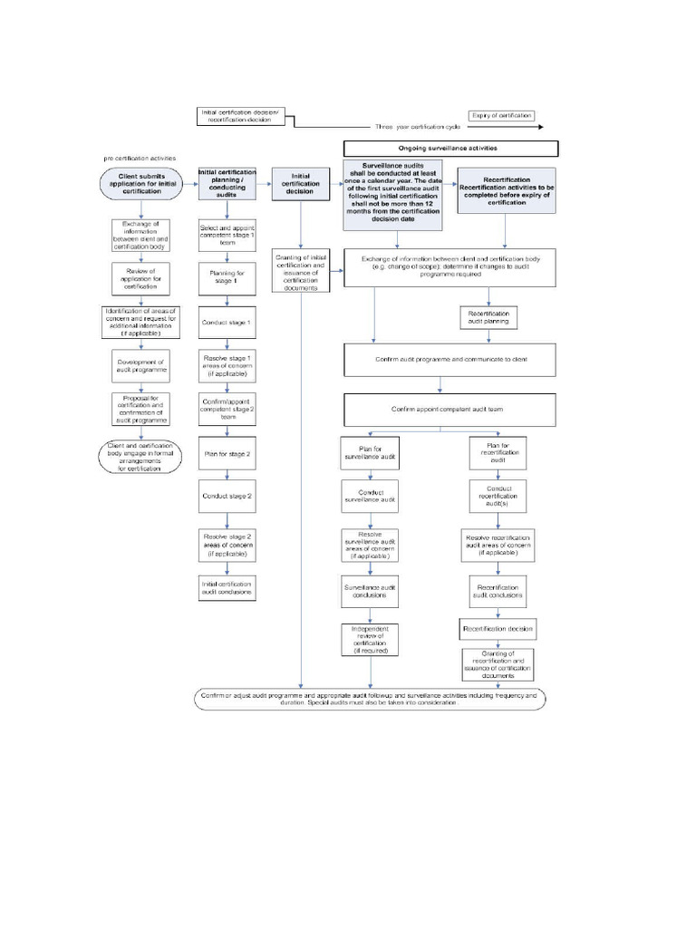 Appendix 1 - Audit Flow Chart | PDF