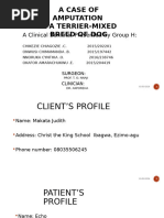 Ehmer Sling Application in Dogs | PDF | Hip | Skeletal System