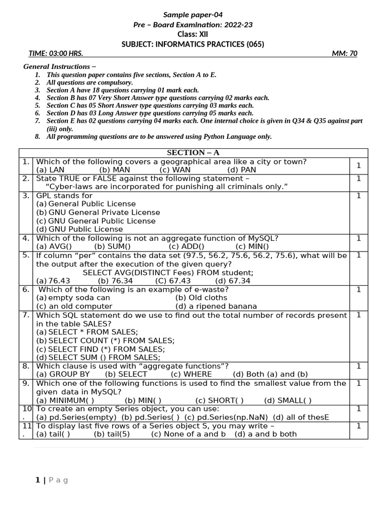 Ip Sample Paper-4 | PDF