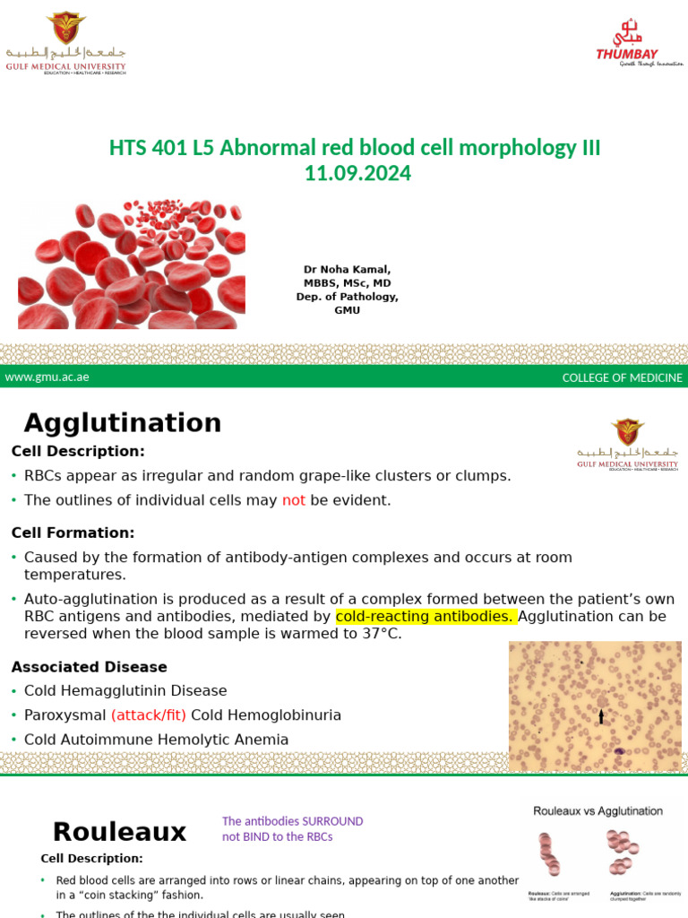 Abnormal RBC Morphology Overview | PDF | Anemia | Red Blood Cell