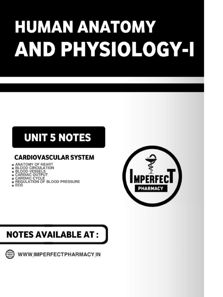 Cardiovascular System Study Notes | PDF