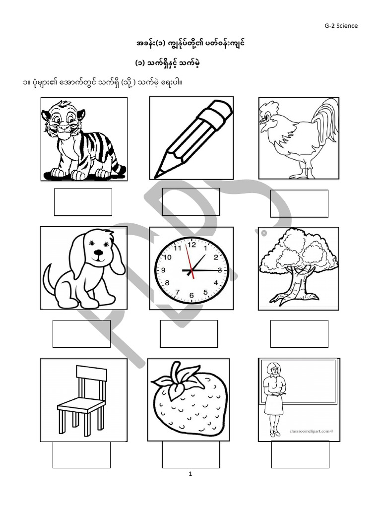 Science CA1 DPS | PDF
