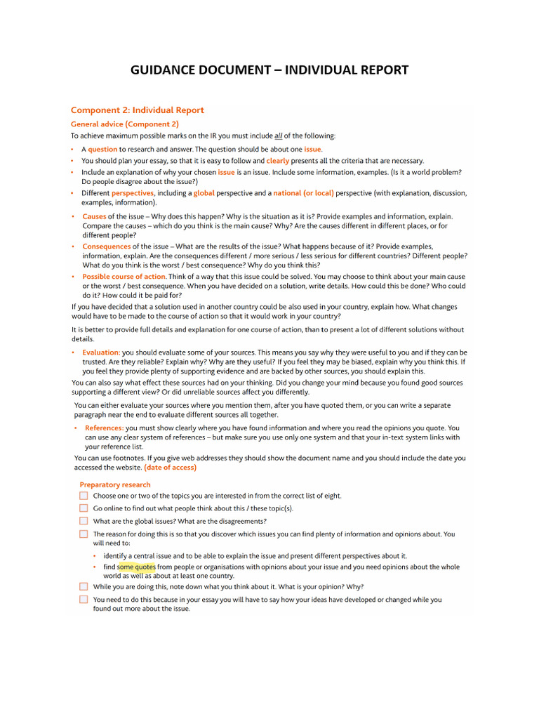 Instructions To Write IR - Individual Report (Global Perspective) | PDF