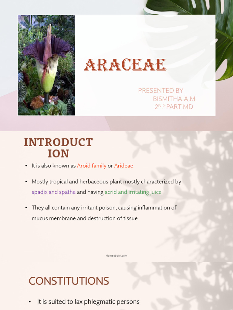 Aroid Family: Characteristics & Remedies | PDF | Medical Specialties ...